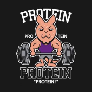 Protein Gym - Aggretsuko T-Shirt by Boggs Nicolas - The Shirt List