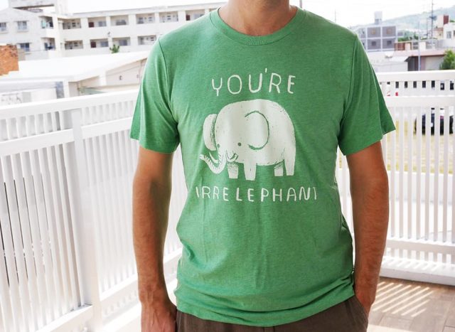 TeePublic T-Shirt Review by the Tee Reviewer on The Shirt List